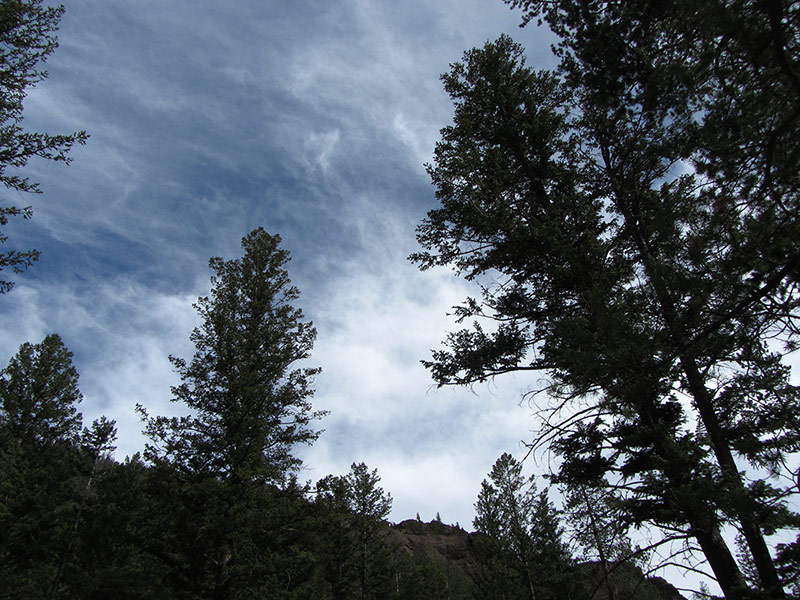 Photo Gallery - Absaroka Mountain Lodge